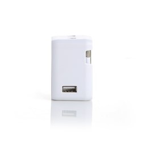 Mini Travel Adapter with USB