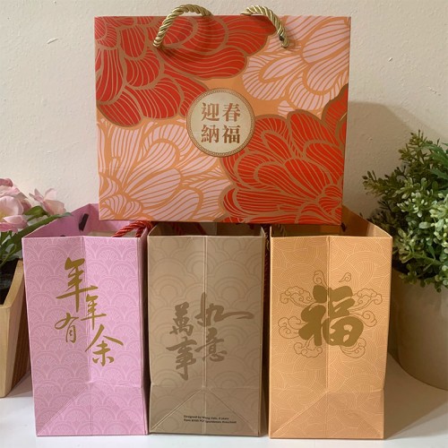 Mandarin Orange Carrier Bag in Paper